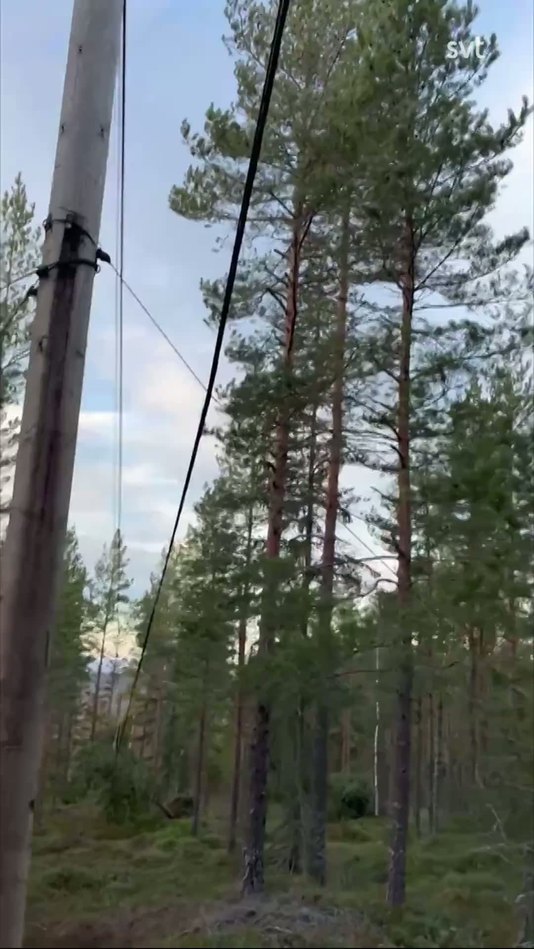 Bärgning av omkommen dykare i Borlänge tar tid | SVT Nyheter